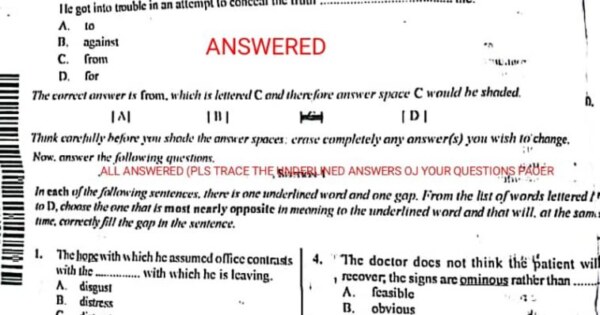 WAEC 2025 English Language (Essay, OBJ & Oral) Answers - Exambot